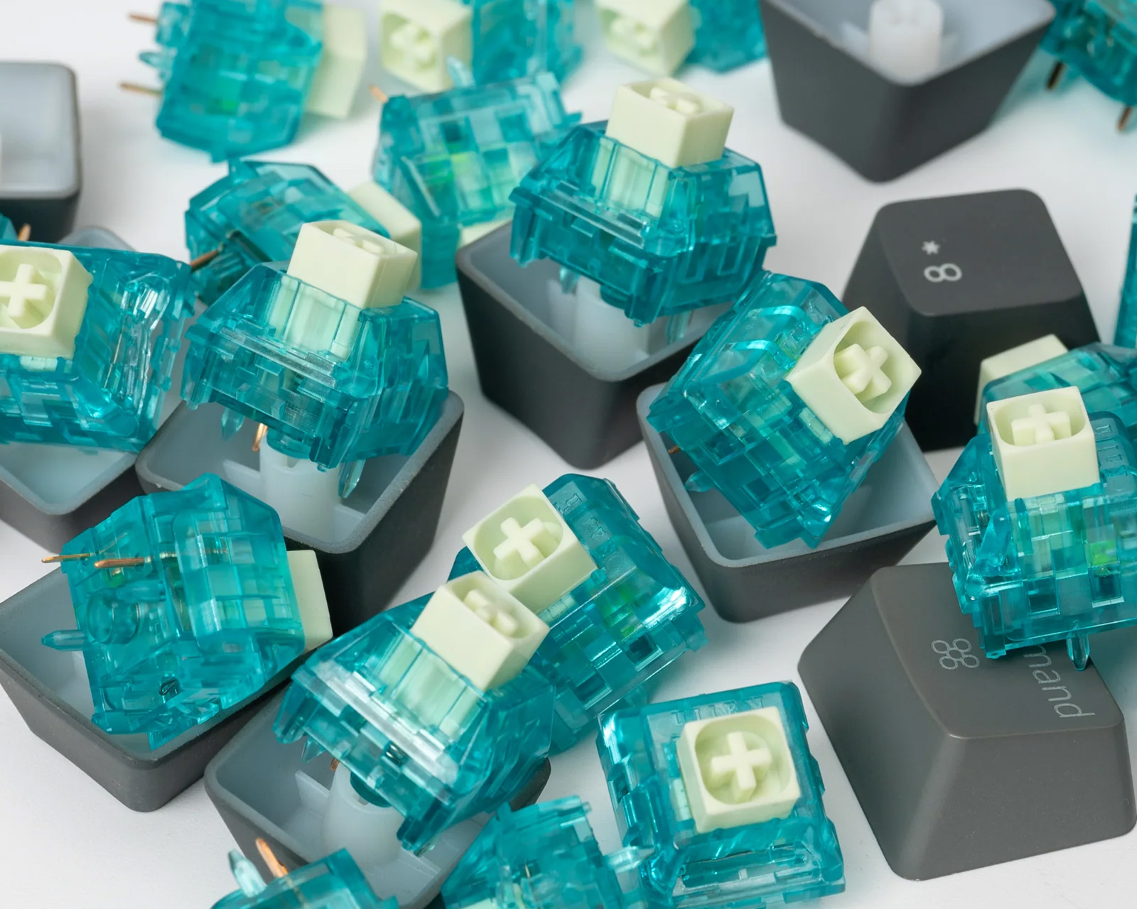 Kailh Box Summer Clicky Switch Maxgaming No